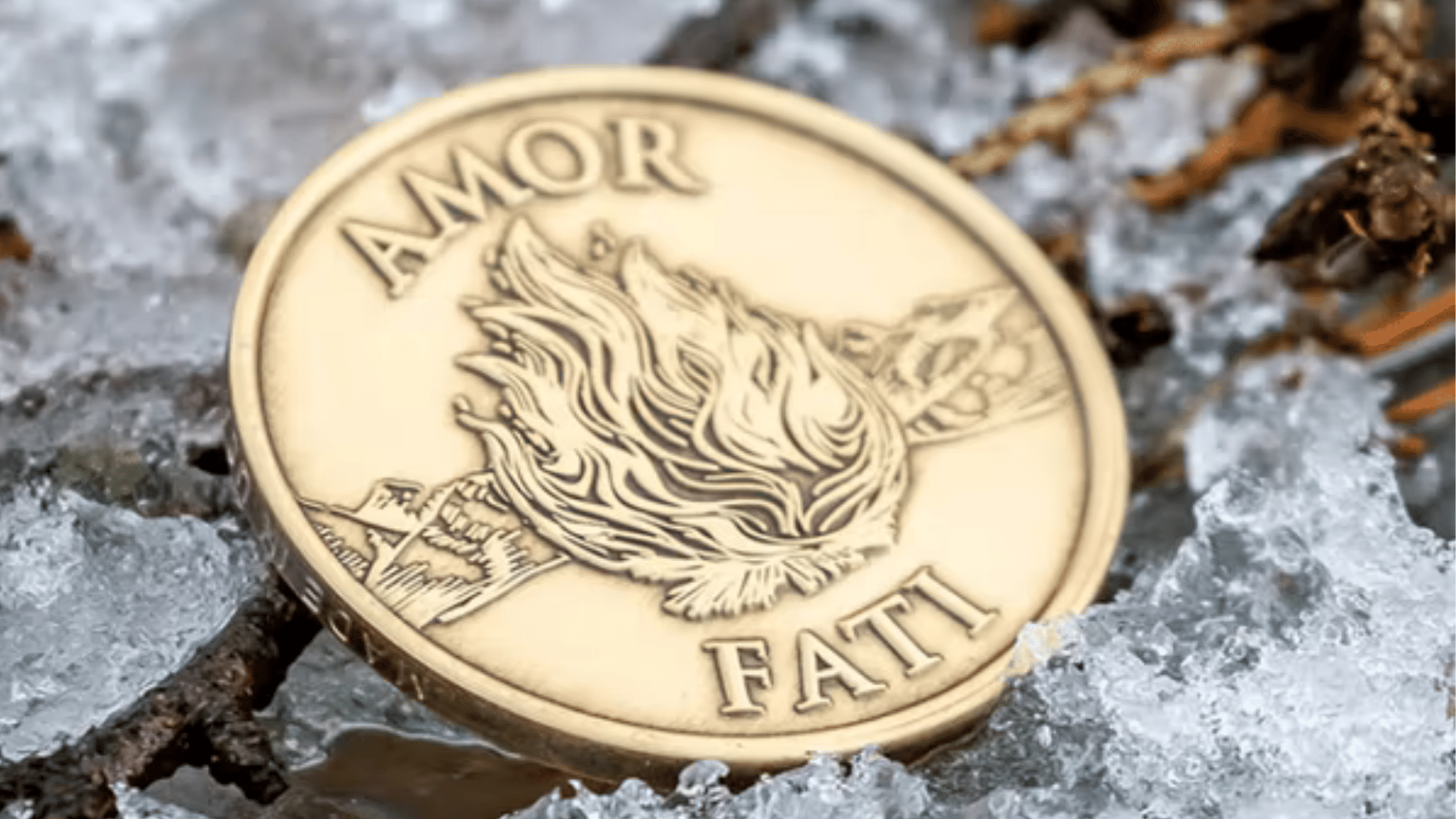 Amor fati: aprende a amar el destino – El Rincón de Aquiles
